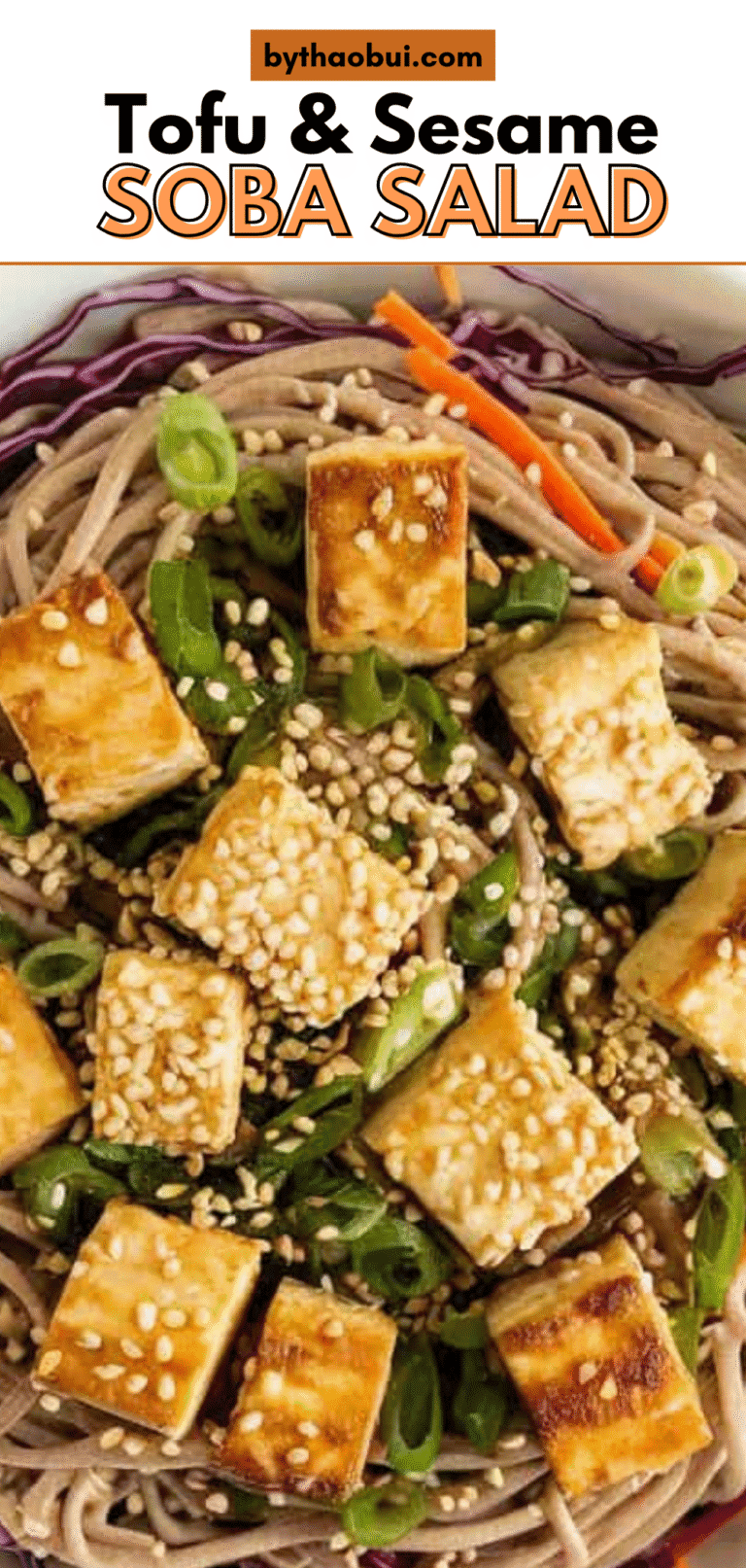 Tofu & Sesame Soba Salad - Thao Bui