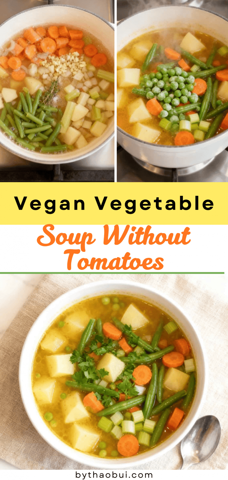 Vegan Vegetable Soup Without Tomatoes